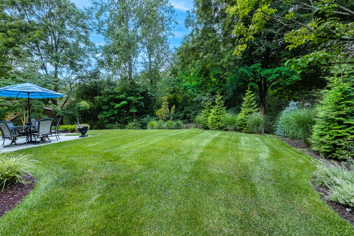 Privacy Plantings | CLC Landscape Design
